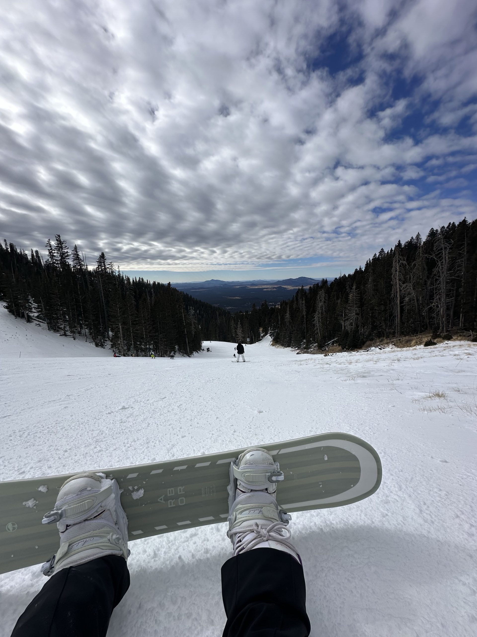 Challenges of Singleness in 2025 - SALT & Life