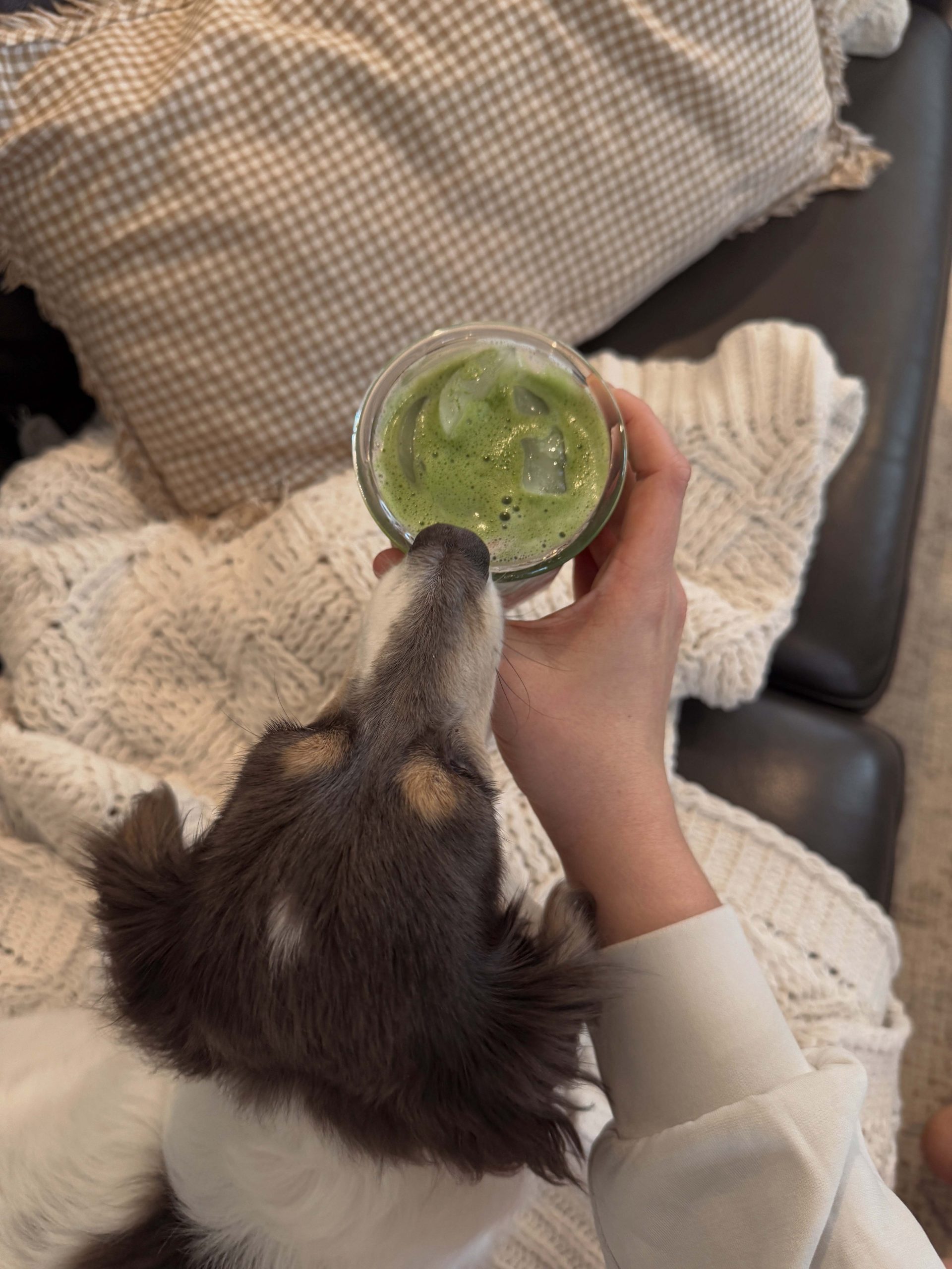 How do I spot fake profiles or scams on dating apps? - SALT & Life